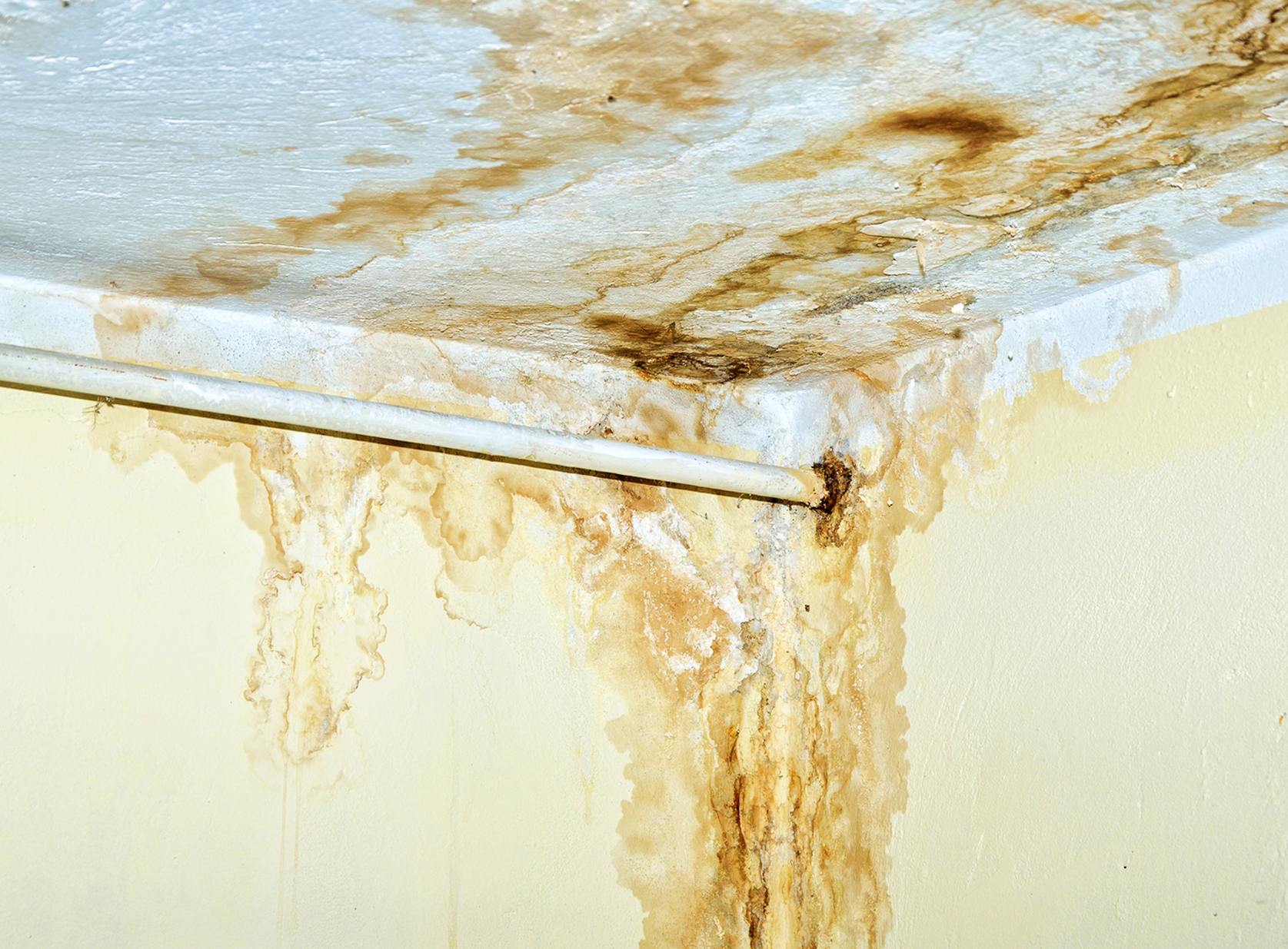 The Causes Of Mold In Your Home